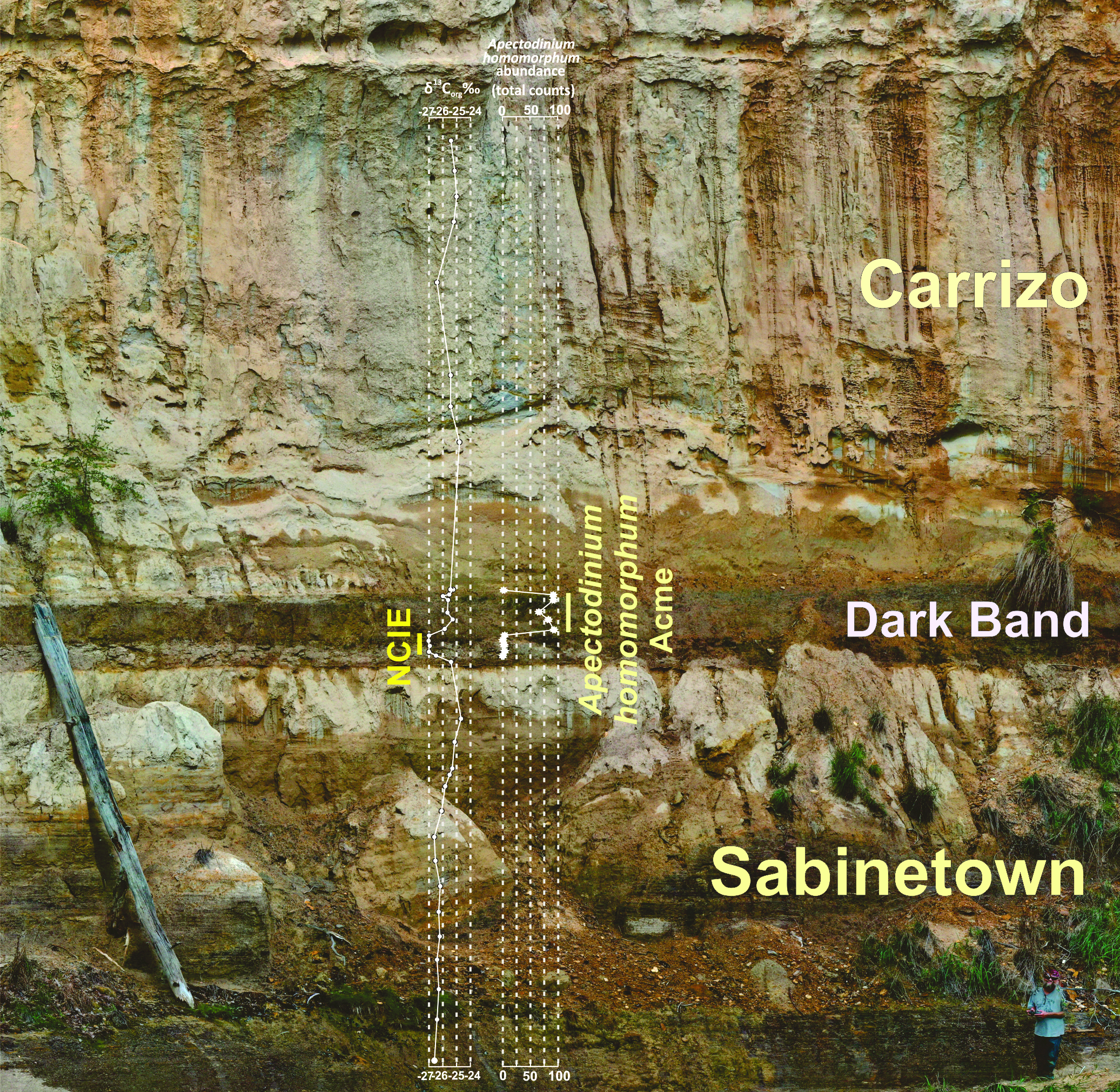 Wilcox | State of Texas Advanced Resource Recovery